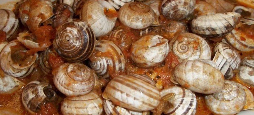 Ristoranti con specialità lumache a Rimini